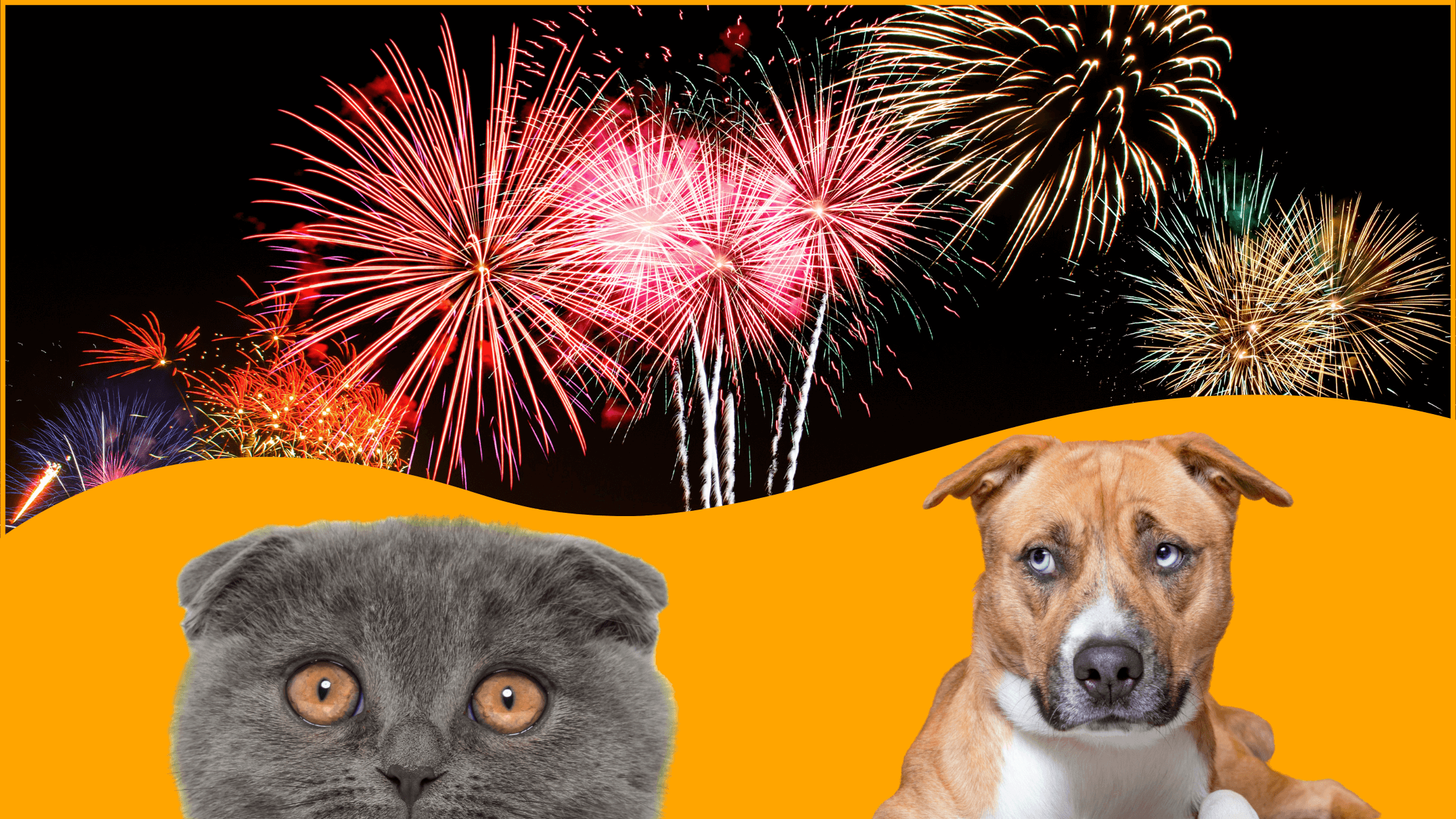 Why Fireworks Scare Pets (and How to Help This July 4th) – worksSOwell