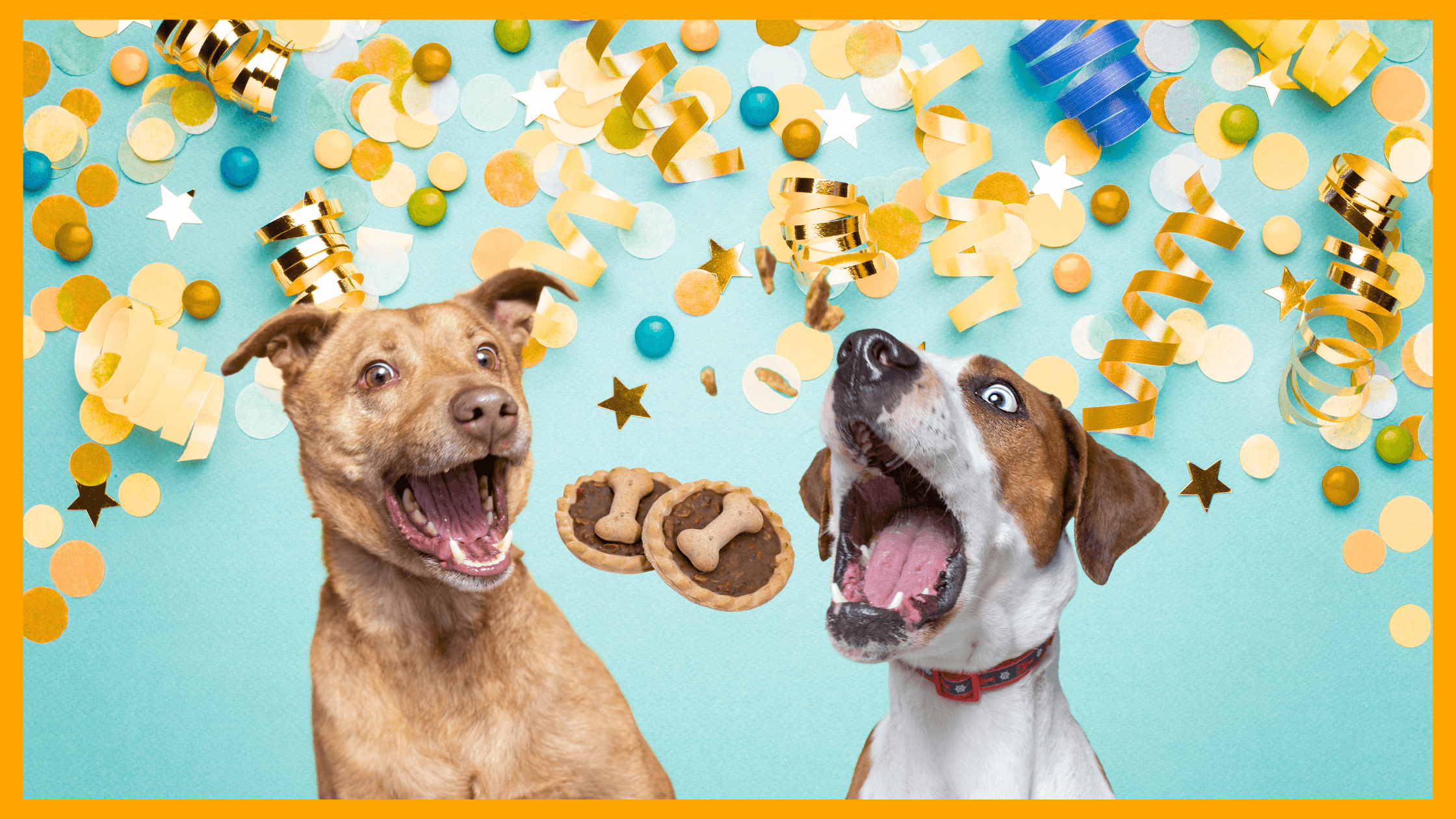 10 Fun Ways to Celebrate Spoil Your Dog Day on August 10th – worksSOwell