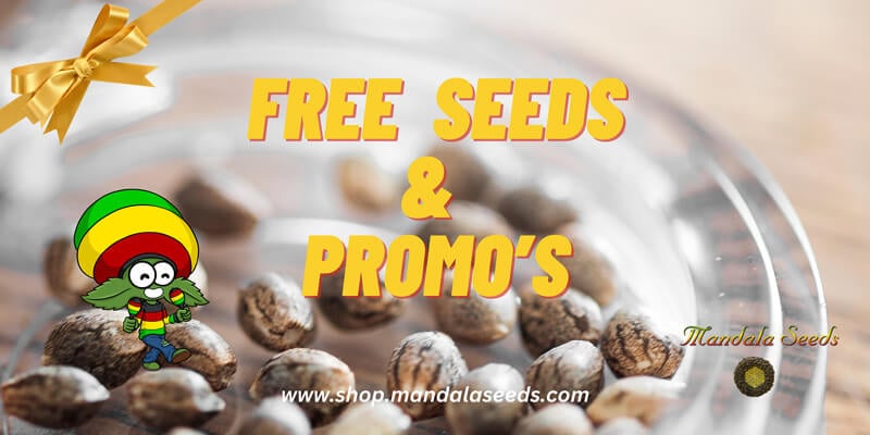 Free Seeds and Promotions at Mandala Seeds – Mandala Seeds Shop
