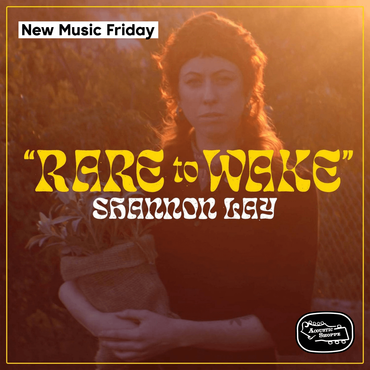 New Music Friday - Shannon Lay "Rare to Wake"