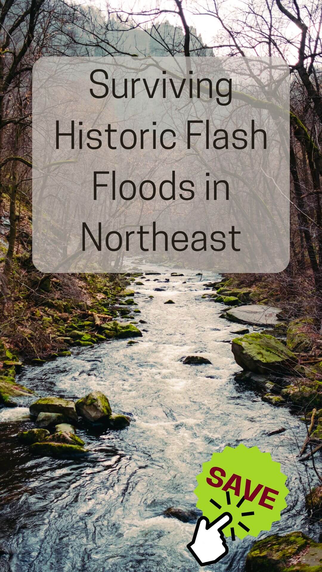 Understanding the Risks and Preparing for Flash Floods