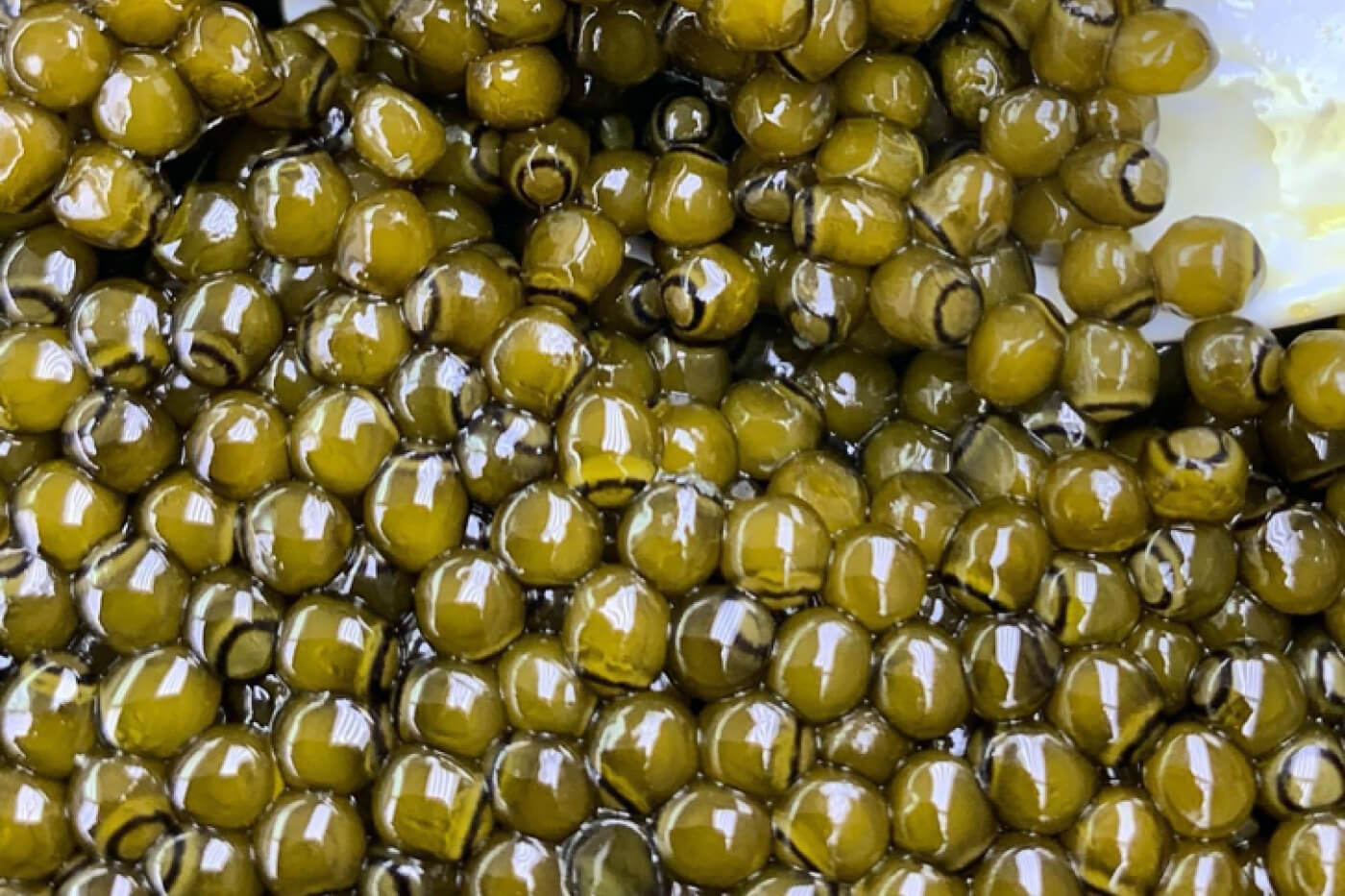 What color is caviar? – Caviar Skazka