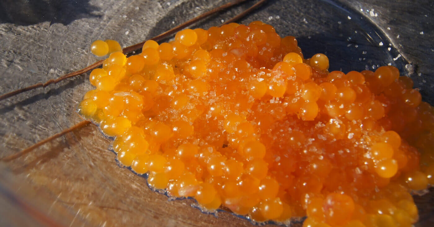 Caviar and Veganism: Plant-Based Alternatives and Innovations – Caviar ...