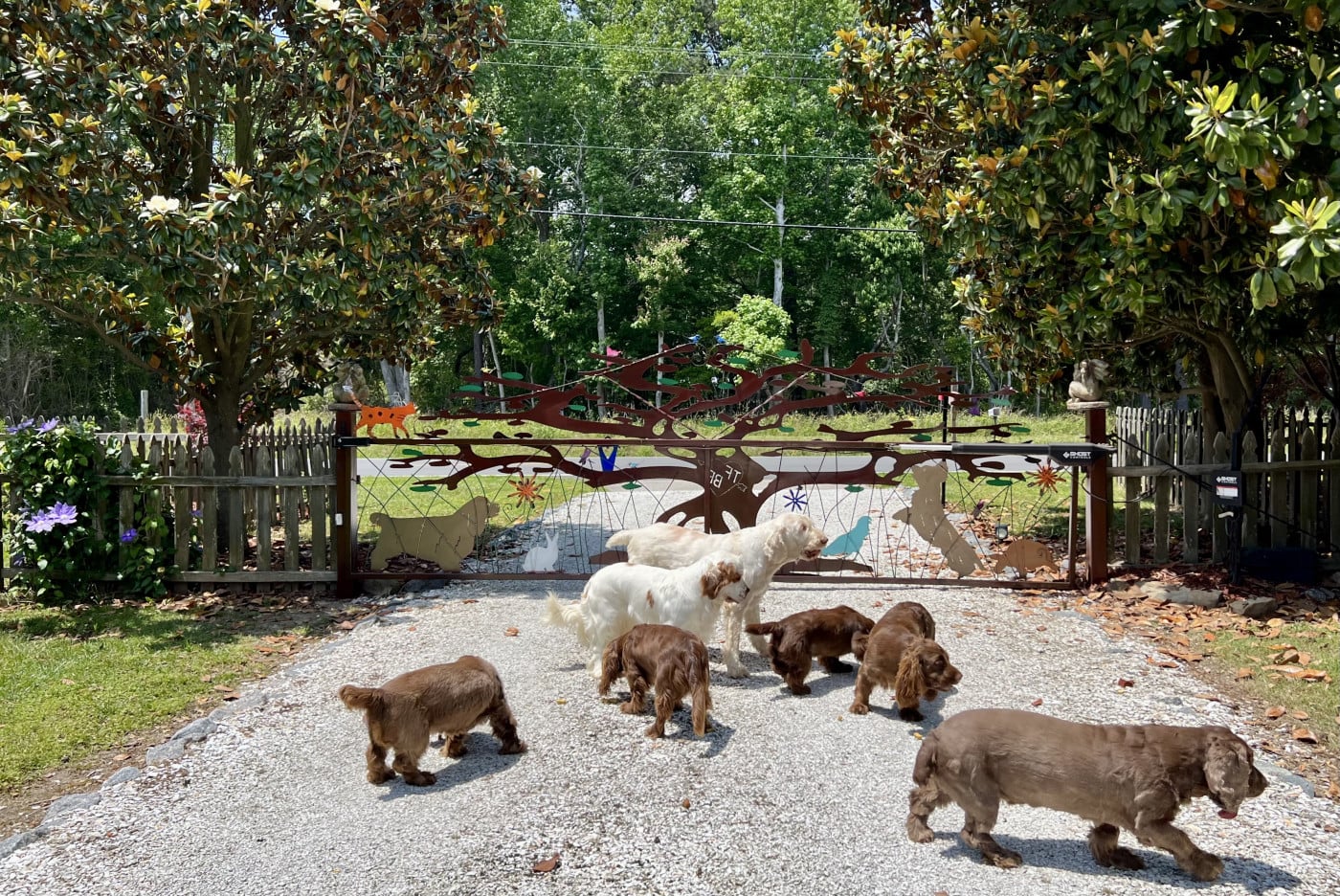 Wildlife-Friendly Gates: Balancing Security and Nature