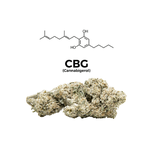 CBG Benefits: What It Is, How It Works & Why You’ll Love It | ORGANIC ...