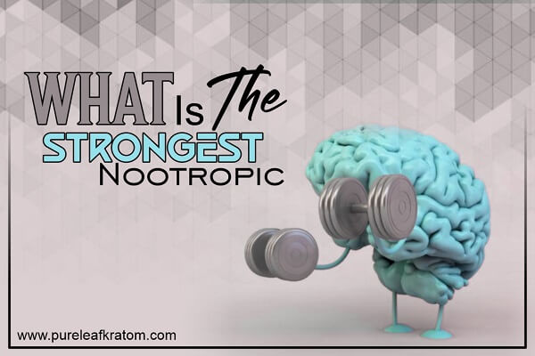 The Best Nootropics Food Recipes for Memory & Concentration