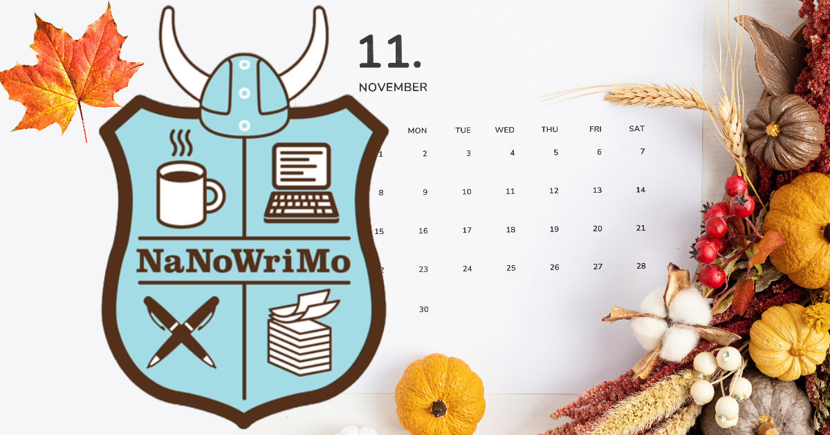 National novel writing month store