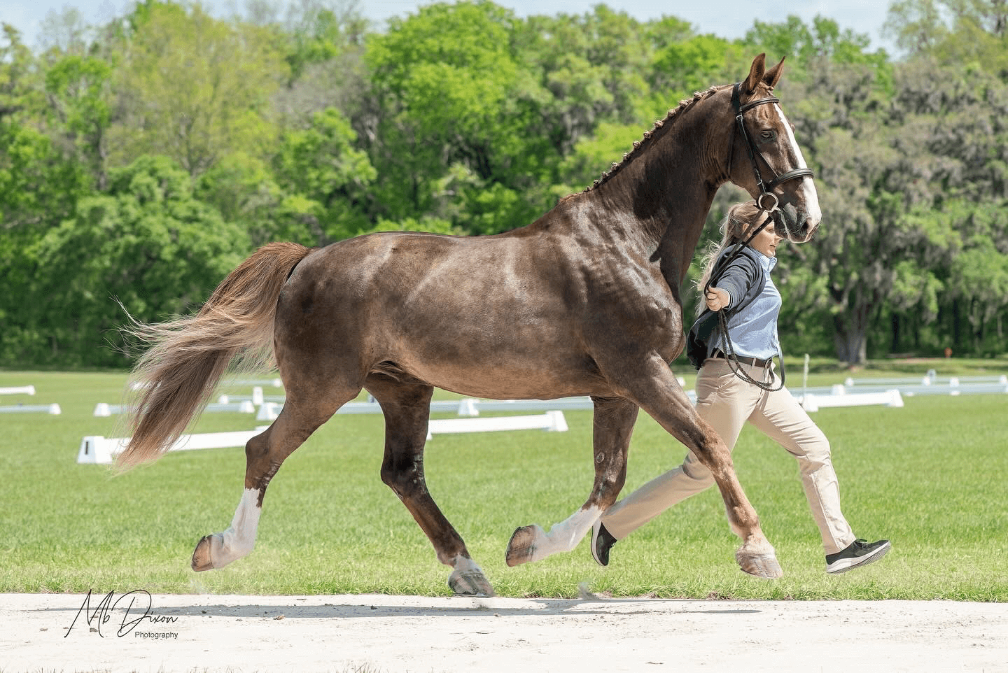 Meet Ryley Miller, FEI 3* Driver & NEW Kerrits Team Rider – Kerrits ...