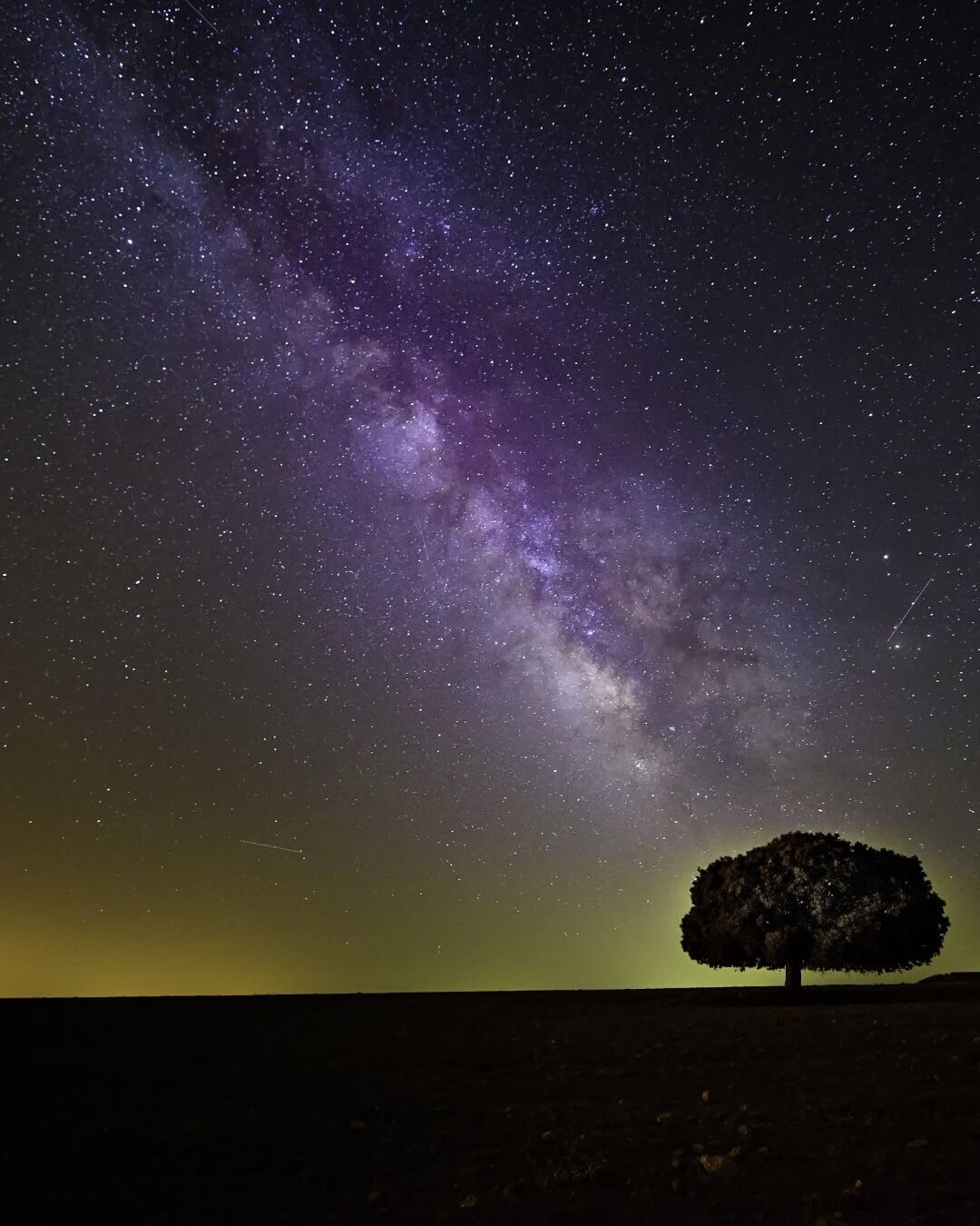 Tomatis’ Language Series Overview