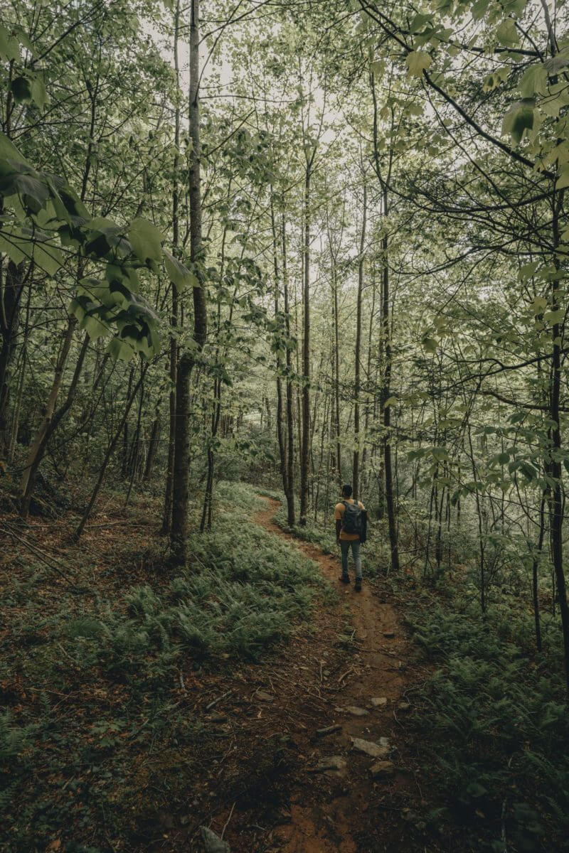 An Alternate Path