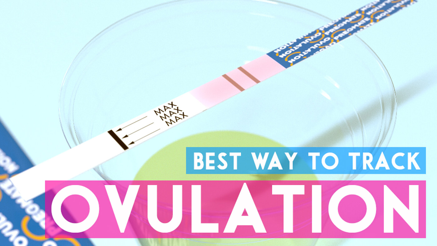 LH Surge Ovulation Tracking Determine Most Fertile Days PREGMATE