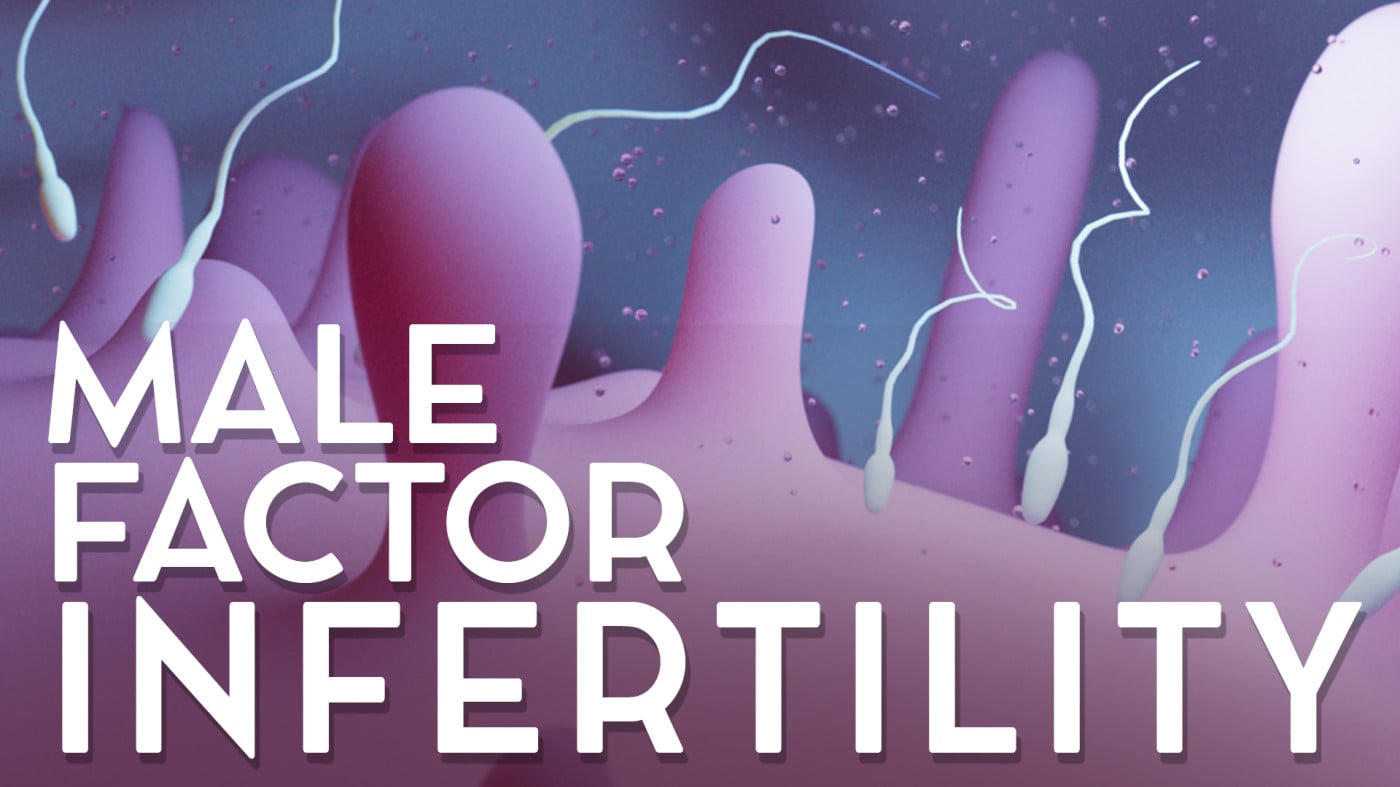 Male Factor Infertility: Understanding and Overcoming – PREGMATE