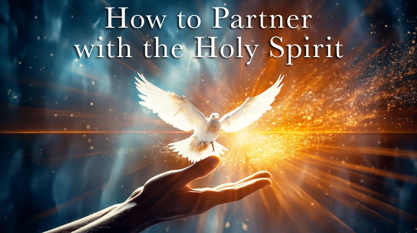 It's Supernatural! School of Ministry | Online Christian Courses