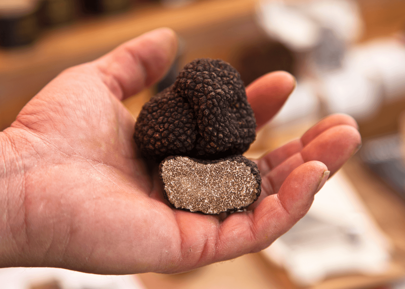 Truffle Definition Verb at John Brunner blog