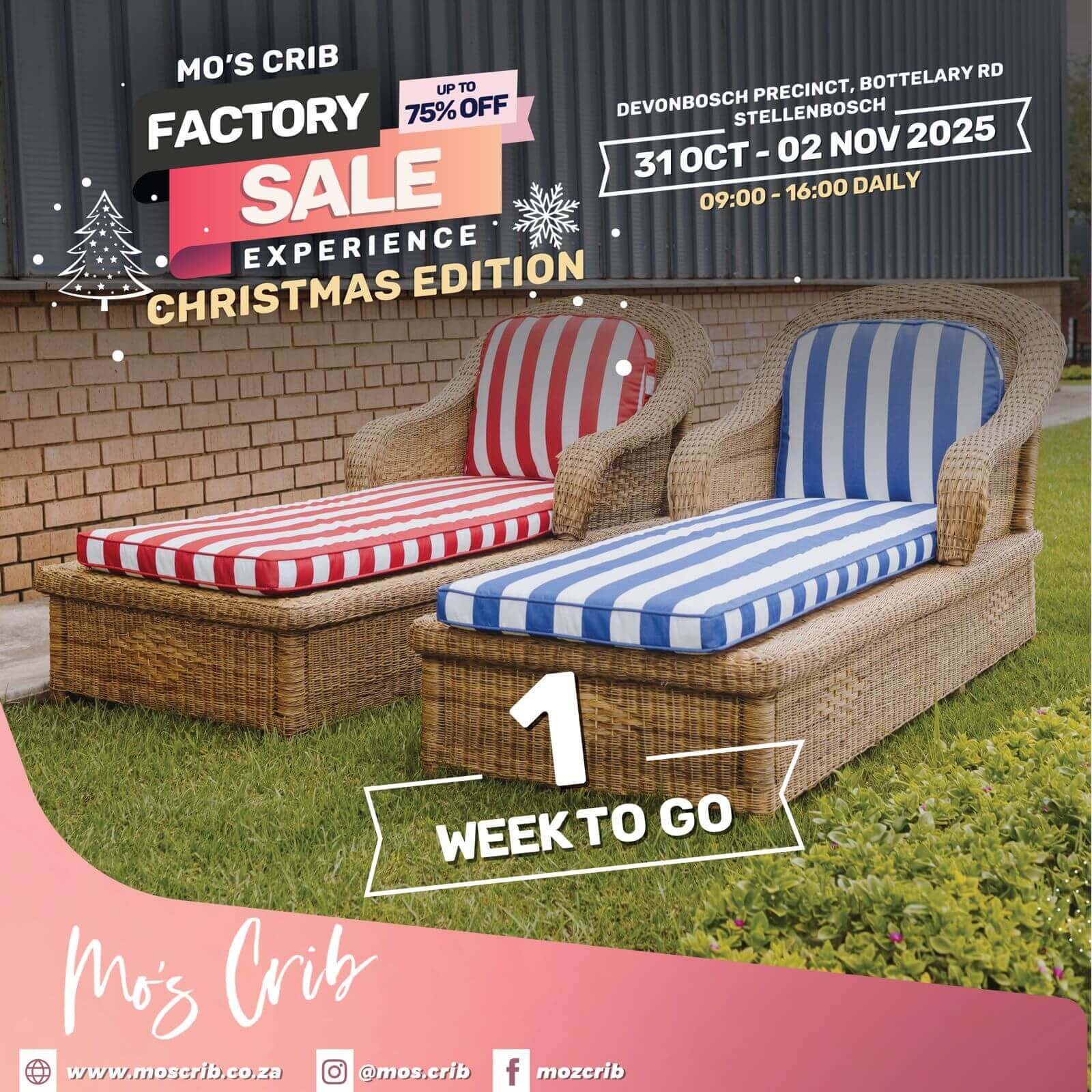 Stellies, We are 7 days away from the Mo's Crib Christmas Edition ...