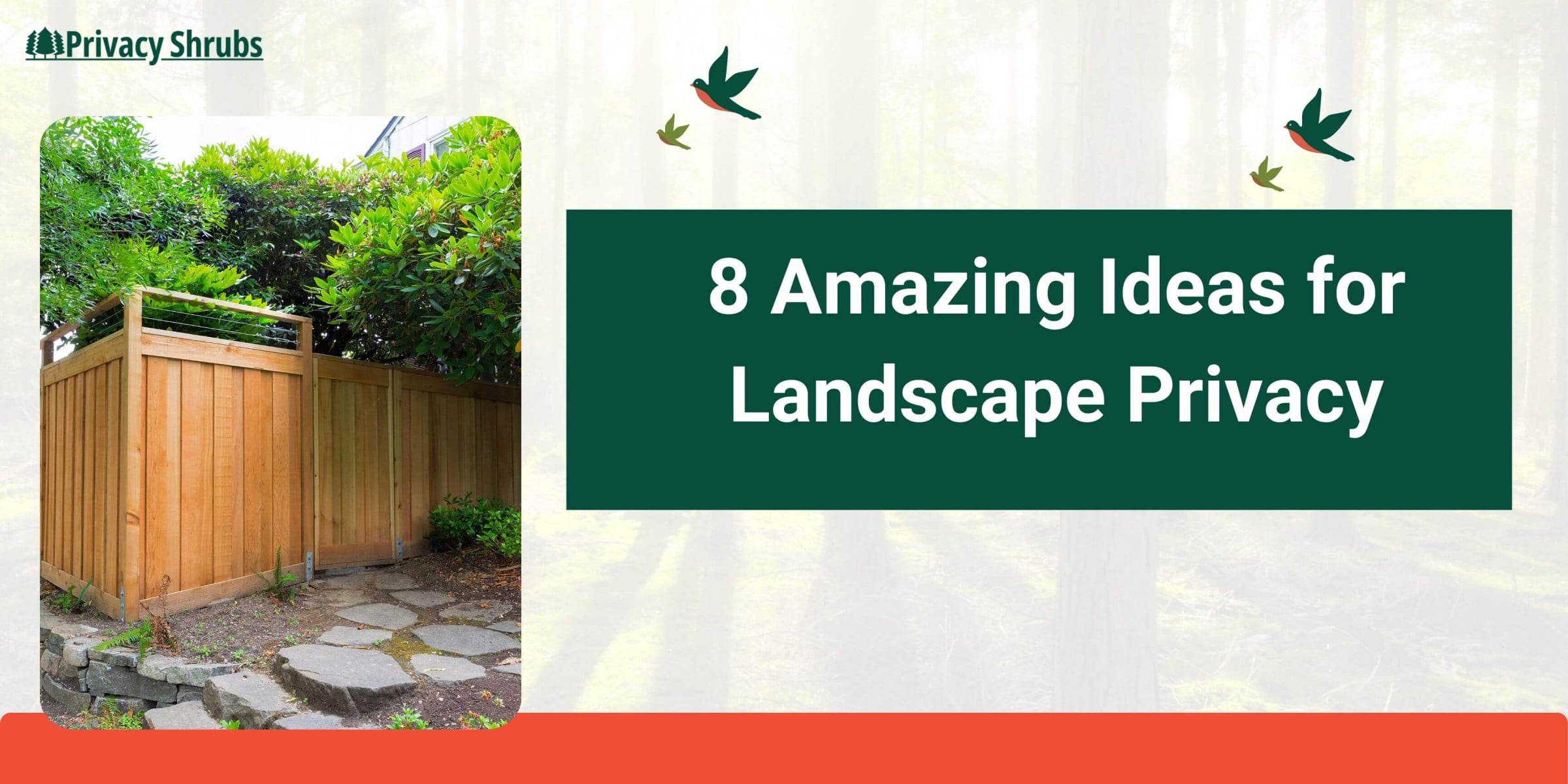 8 Amazing Ideas for Landscape Privacy — PrivacyShrubs.com
