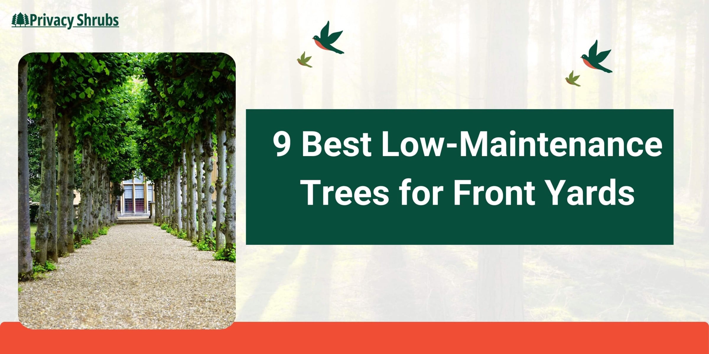 Best Low Maintenance Trees 19 Small Trees For Front Yards That Explode