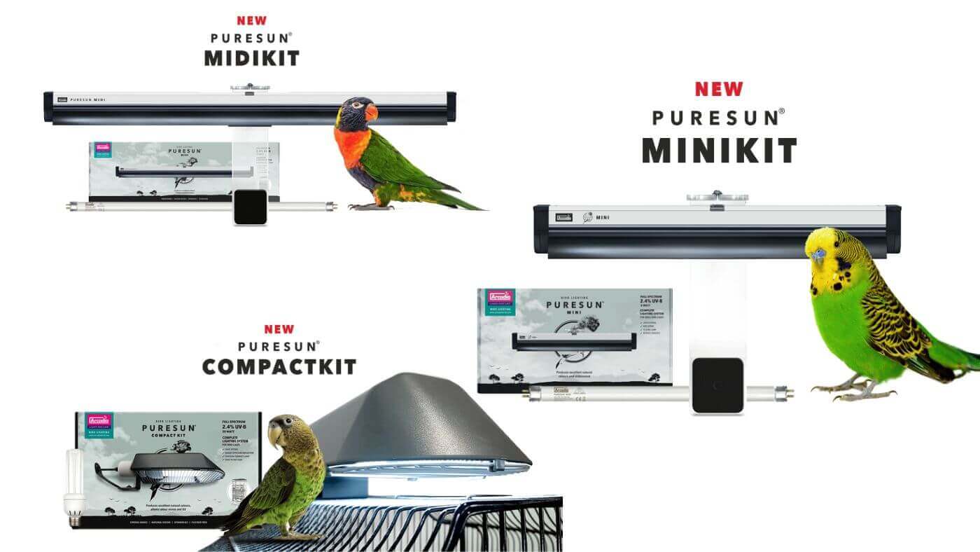 Parrot Essentials Stocks Arcadia Bird Lighting Solutions