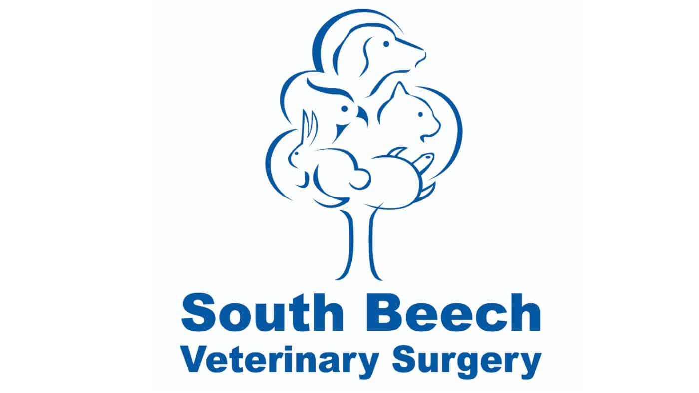 South Beech Veterinary Surgery - Avian Vet