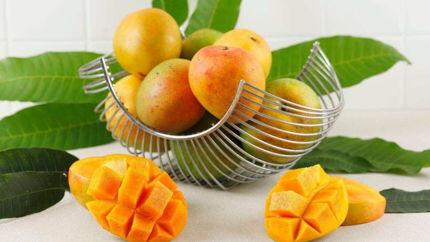 The Best Fruits for African Grey Parrots