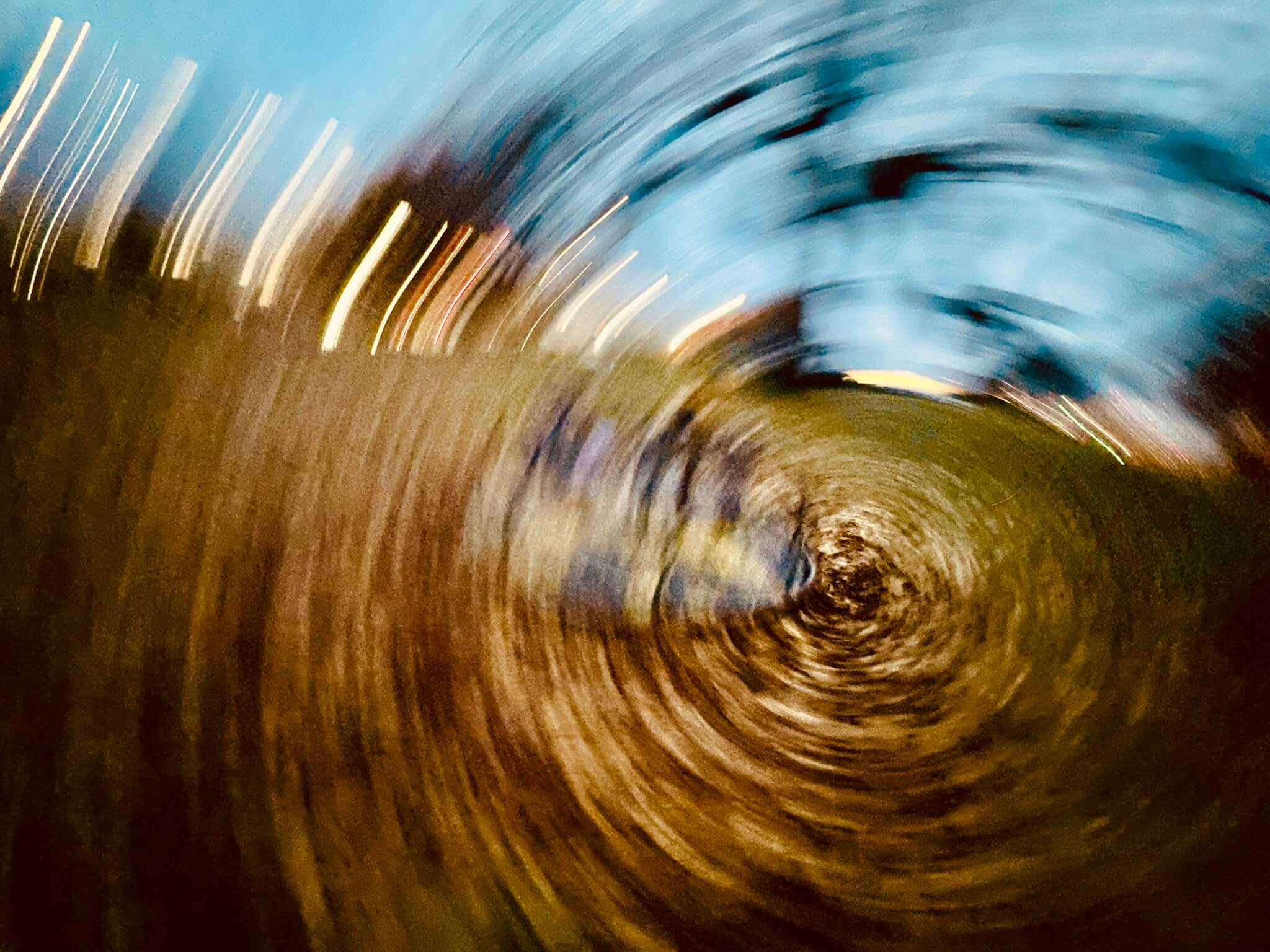 George's Farm Blog | Coq au Vin