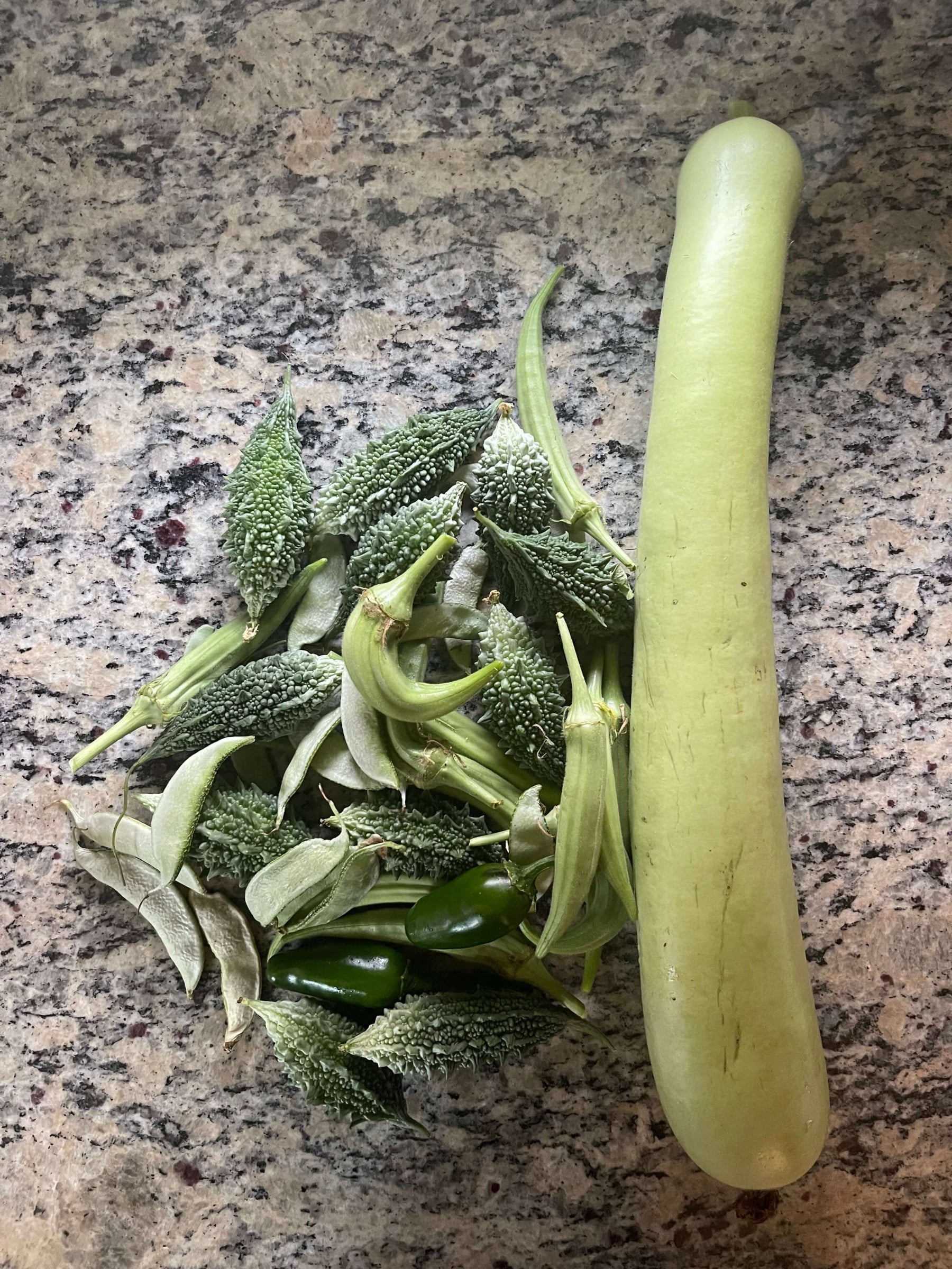 Benefits of Bottle Gourd and Indian Bitter Gourd