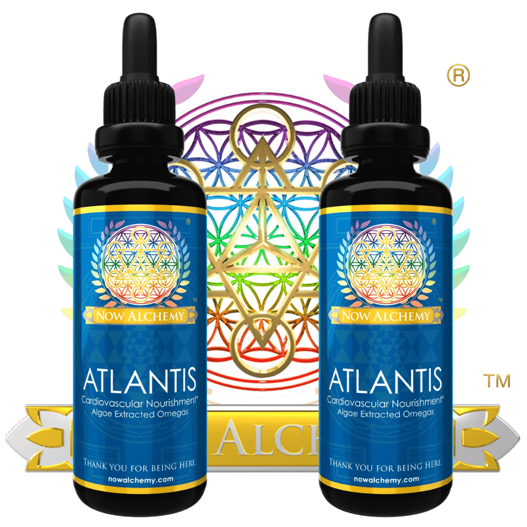 What's the Best Omega Supplement? How About Ohmega. – Now Alchemy