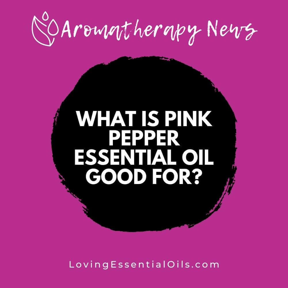 What Is Pink Pepper Essential Oil Good For Uses And Benefits Loving What Is Pink Pepper Essential Oil Good For Uses And Benefits Loving
