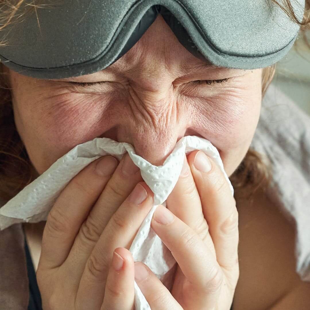 Wool and Dust Mites: Why Wool Bedding Helps With Itching and Allergies ...