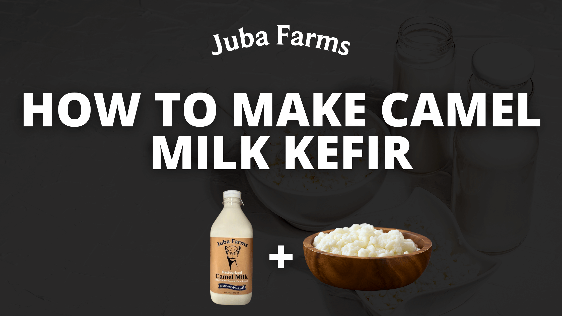 Camel Milk Kefir: Step-by-Step Guide at Home – Juba Farms