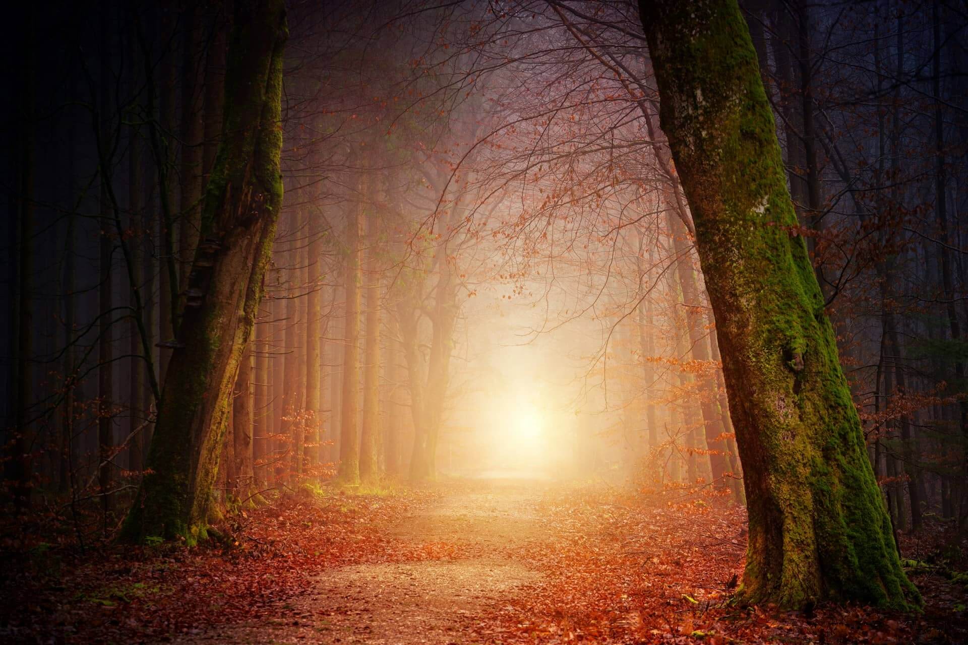 God is Calling Seers—Are You Ready to Answer?