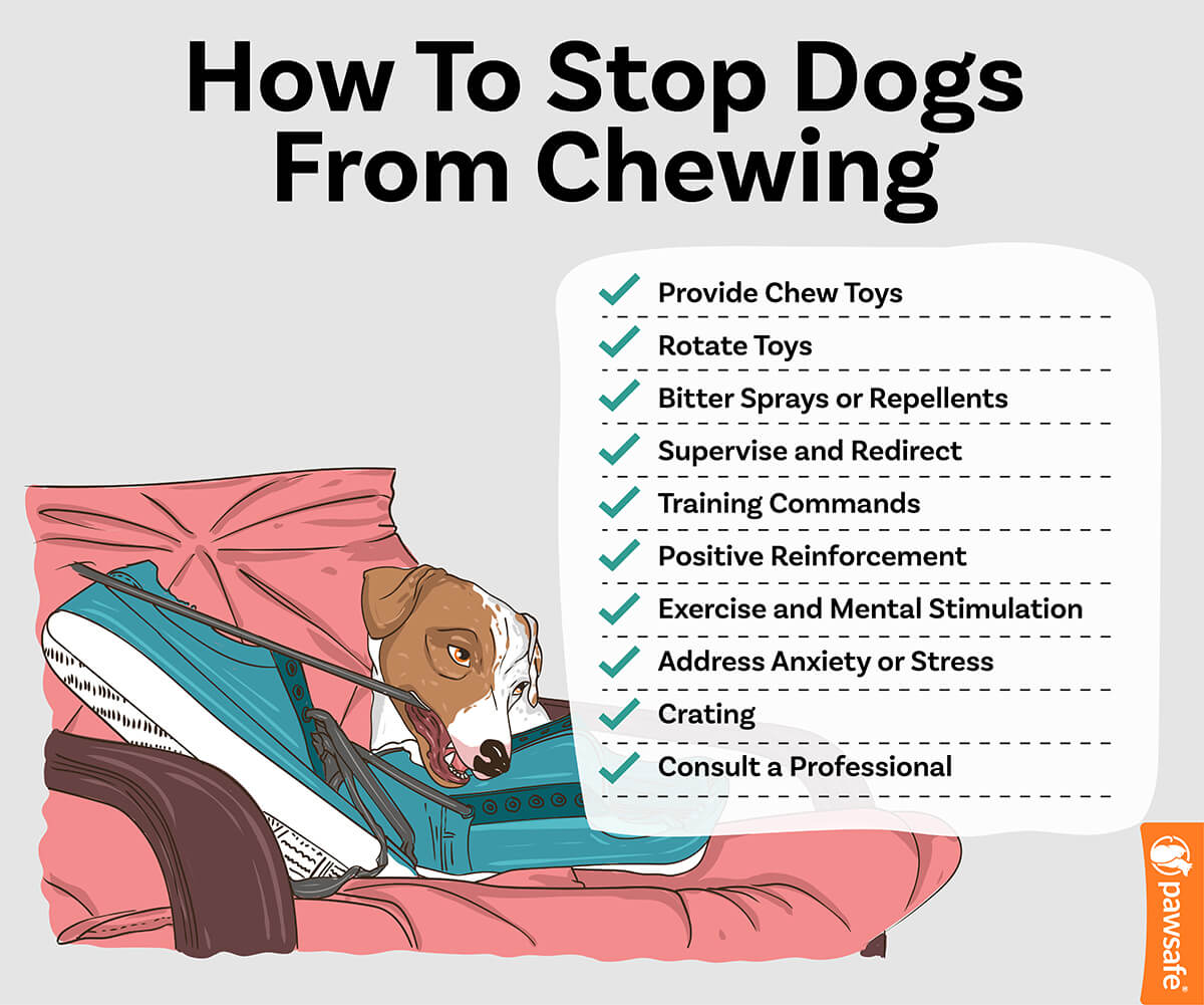 Home Remedies to Stop Dogs from Chewing