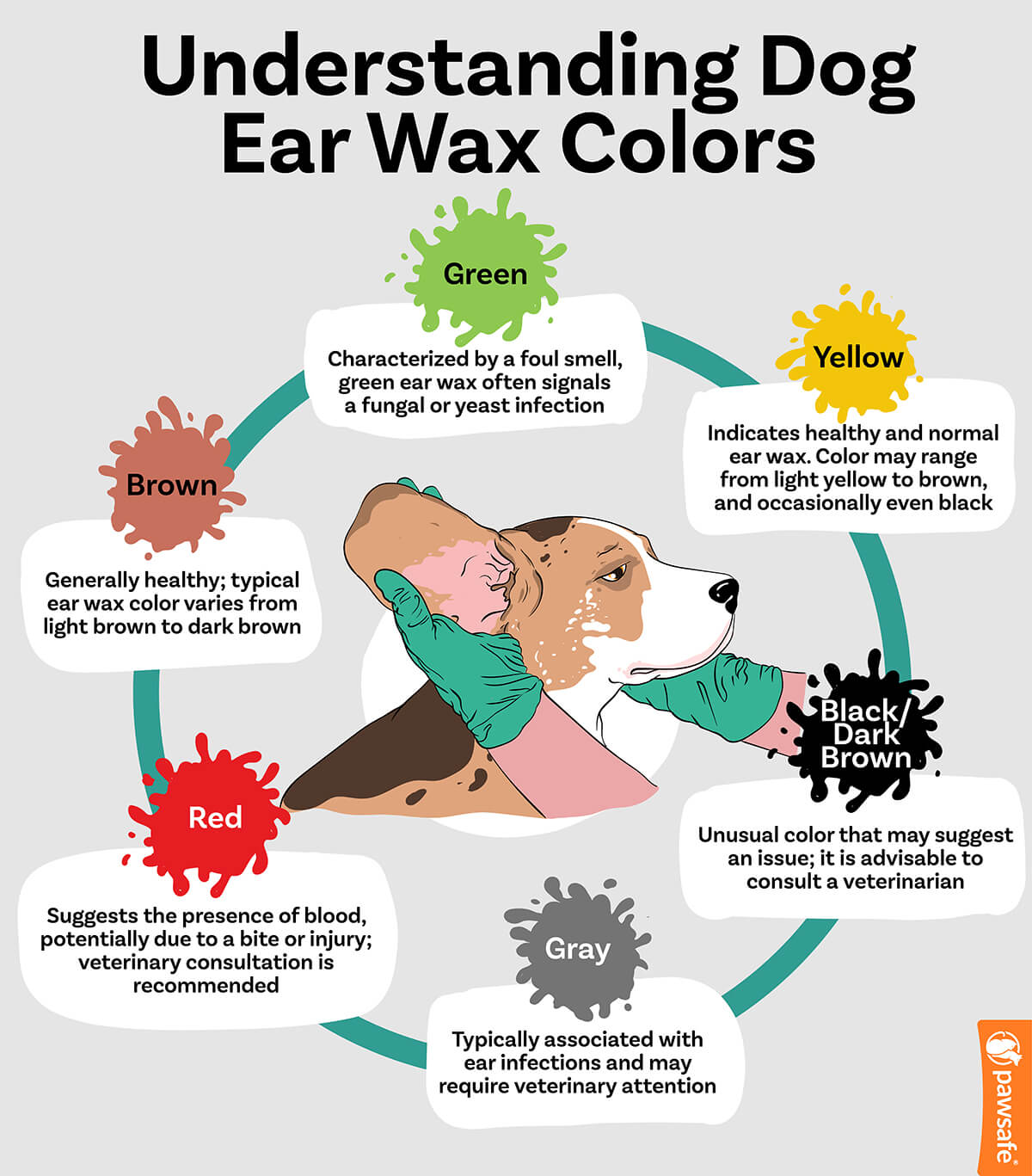 What Do Dog Ear Wax Colors Mean?
