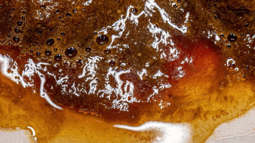 Why is My Dog’s Poop Red (Blood)? 13 Reasons and What To Do