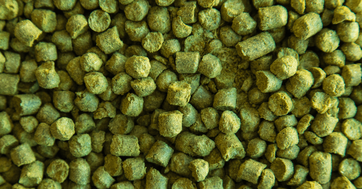 Dry Hopping Temperature Guide: Boost Your Beer's Hop Character ...