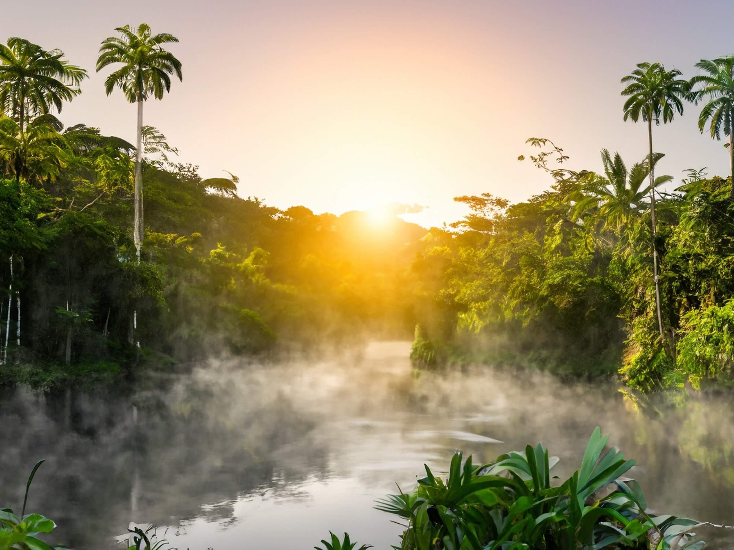 5 Unmissable Experiences of The Amazon River & Rainforest