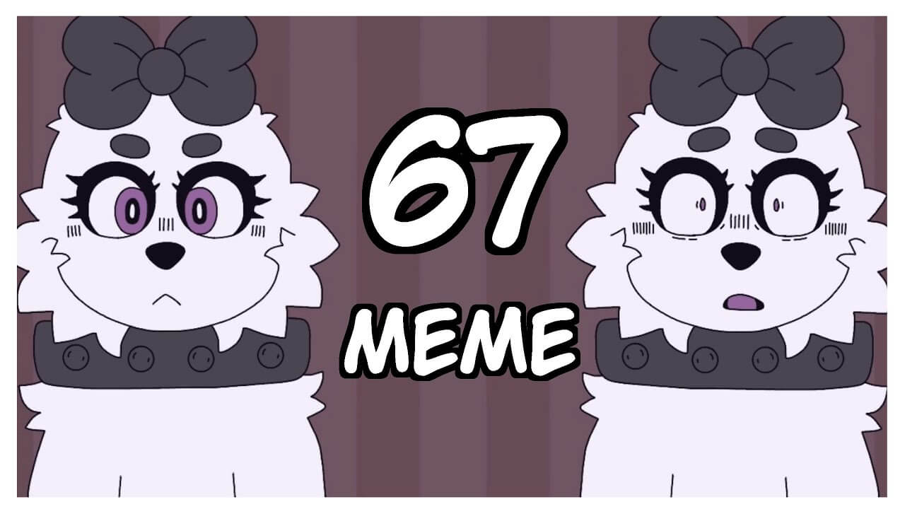 Infinity Collectables