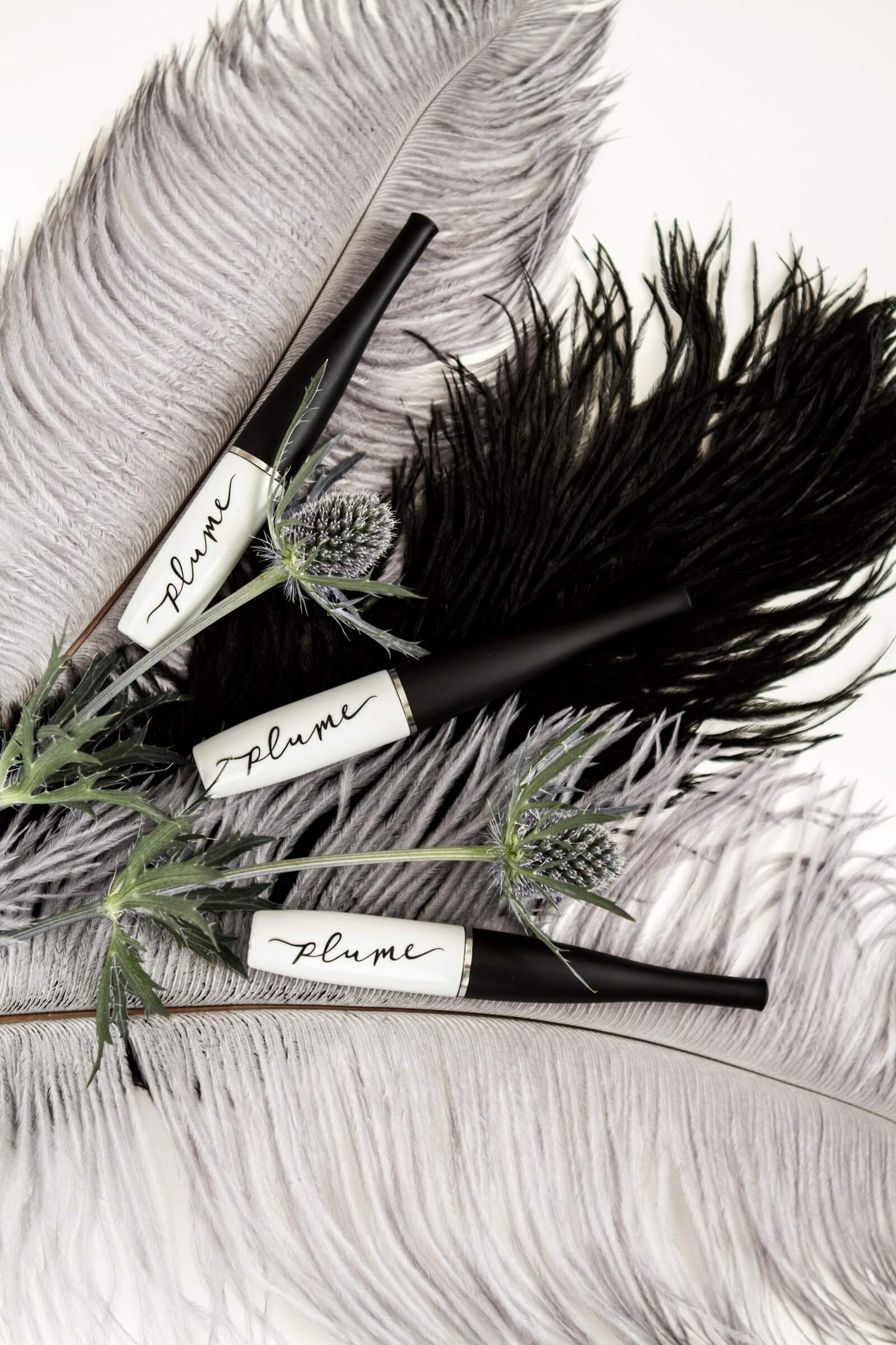 CASTOR OIL VS PLUME – Plume Hair & Lash Science