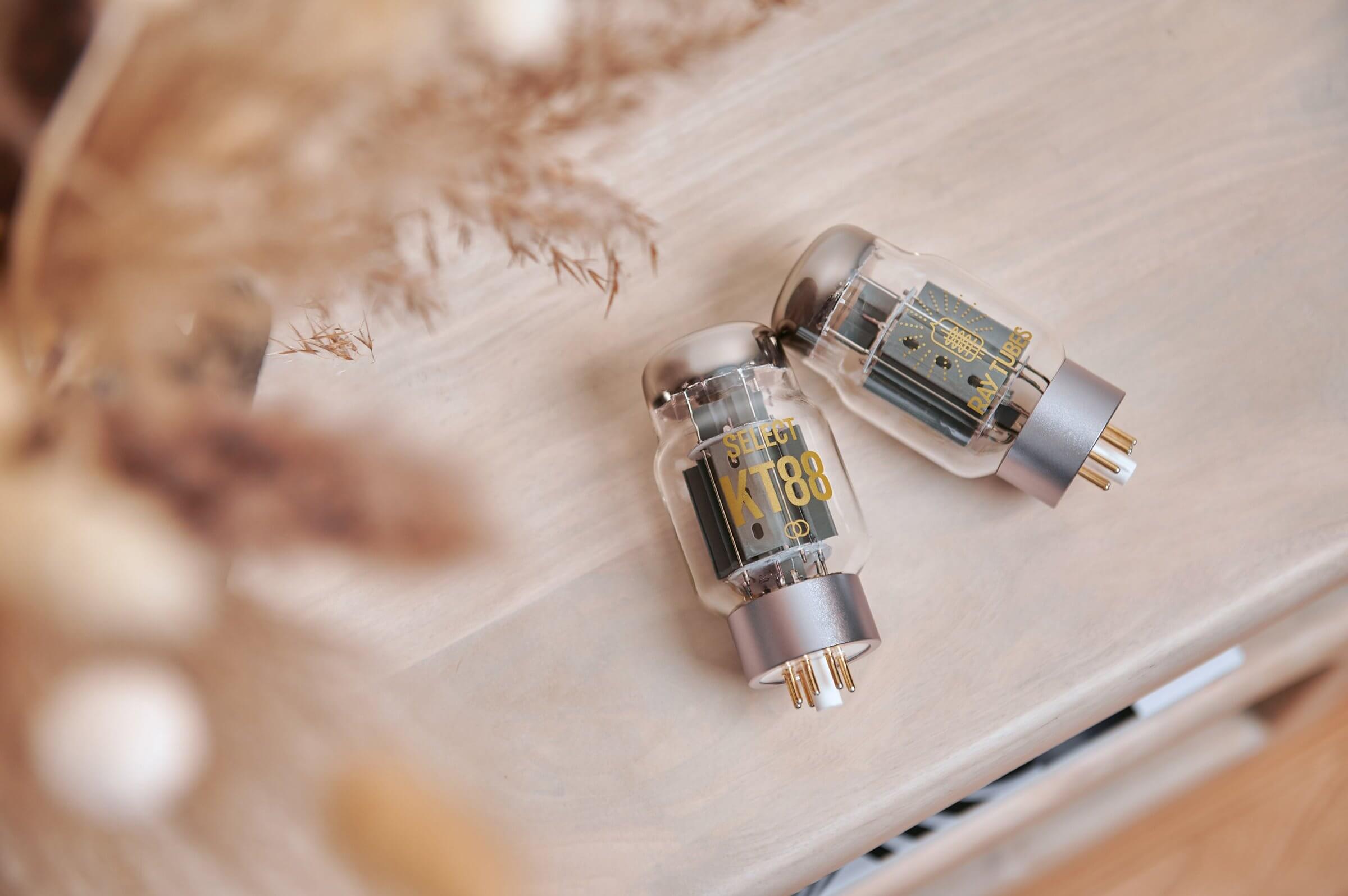 Ray Tubes SELECT KT88 Vacuum Tubes | Audio Power Tubes