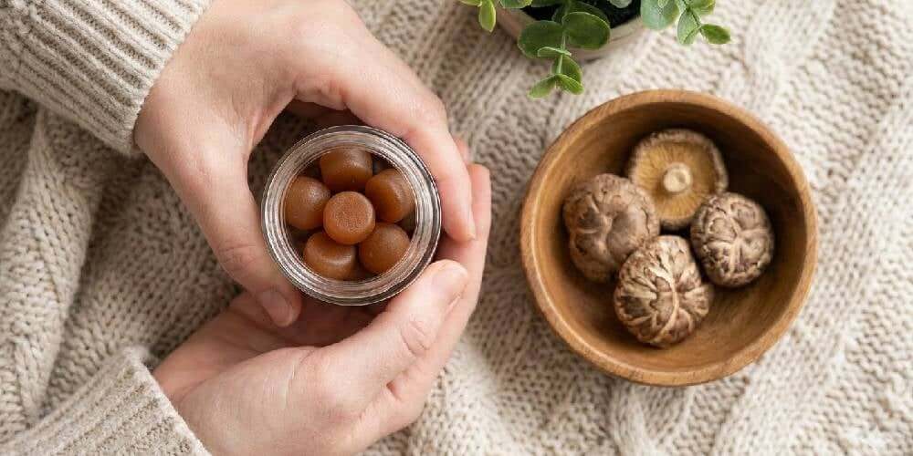 Best Mushroom Gummies for Beginners | Simple Buyer Guide