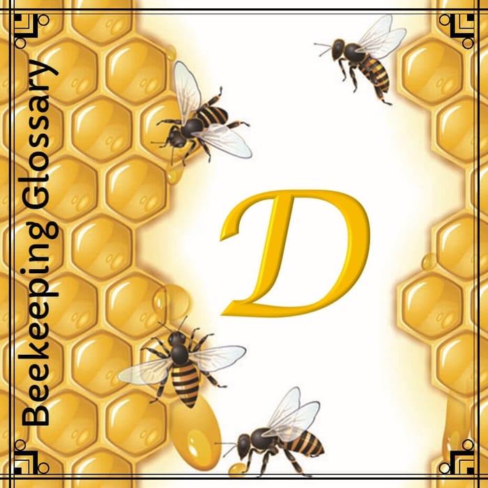 Beekeeping Glossary A to Z: Letter D
