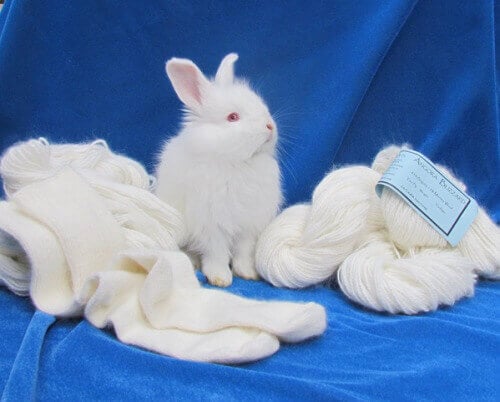 Angora Rabbit Wool Spinning
