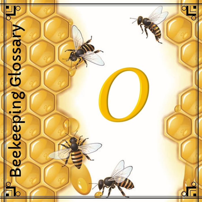 The Wonderful World of Cordovan Honey Bees