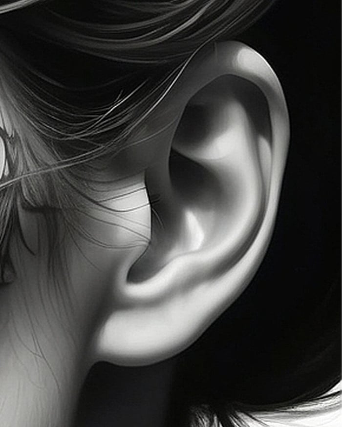 Evolution of the Ear: Hearing and Speech