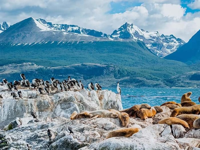 Diving Deeper Into Darwin’s Patagonia