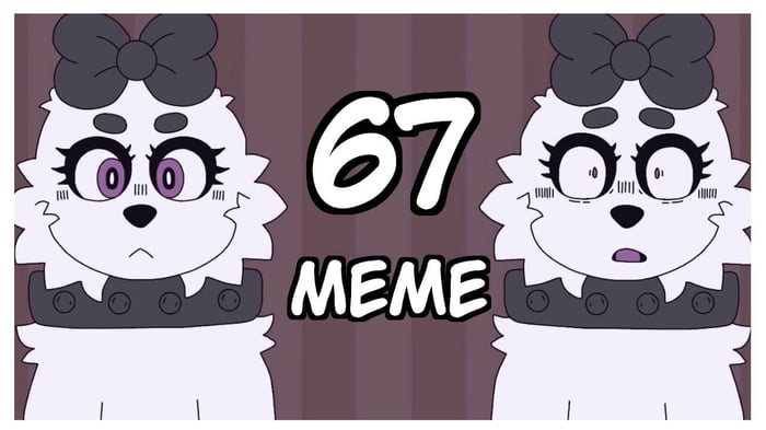 Infinity Collectables