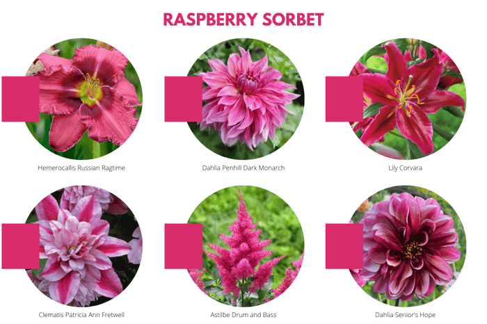 2021 Color Trends for Your Flower Garden